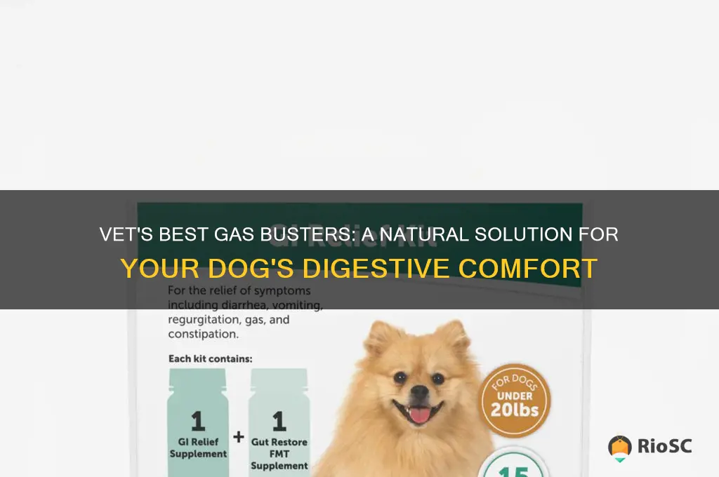 Vet's Best Gas Busters: A Natural Solution For Your Dog's Digestive ...