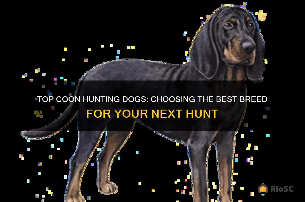 Top Coon Hunting Dogs: Choosing The Best Breed For Your Next Hunt | Riosc