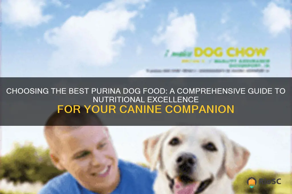 Choosing The Best Purina Dog Food: A Comprehensive Guide To Nutritional ...