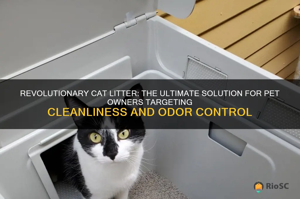 Revolutionary Cat Litter: The Ultimate Solution For Pet Owners ...