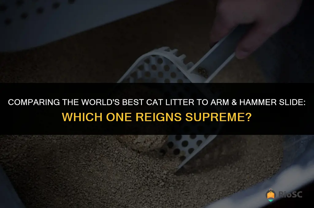 Comparing The World's Best Cat Litter To Arm & Hammer Slide: Which One ...