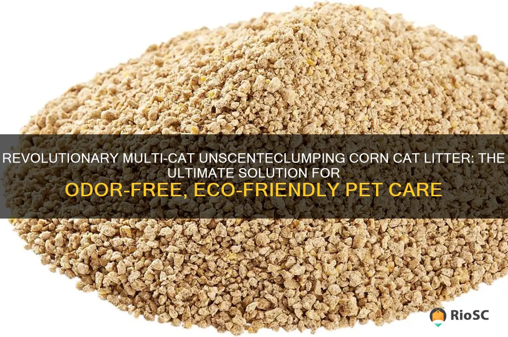 Revolutionary Multi-Cat Unscenteclumping Corn Cat Litter: The Ultimate ...